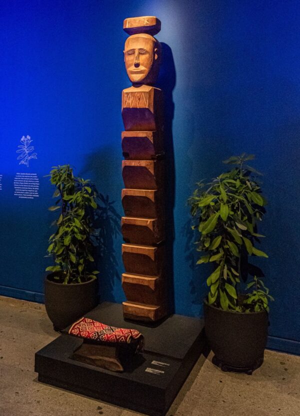 11 – Machi Kimün. Ayer y hoy – Museo Chileno de Arte Precolombino